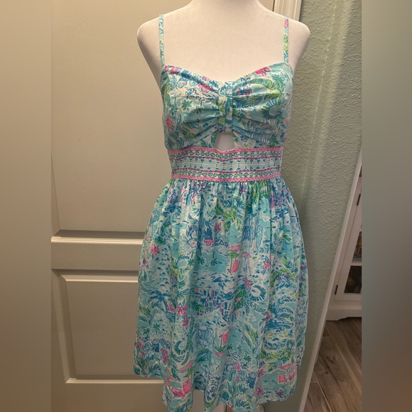 Lilly Pulitzer | Dresses | Lilly Pulitzer Katlynn Dress In Multi What A ...